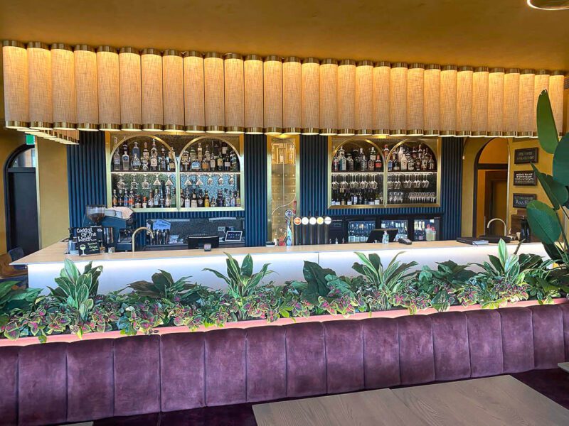 A serendipitous lion: The Fine Lion - Metropol