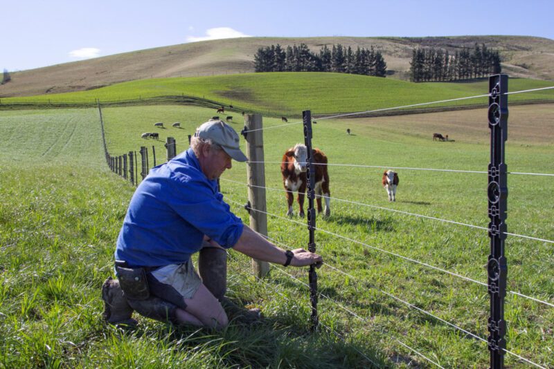 Fencing batten breakthrough: Ricoh - Metropol