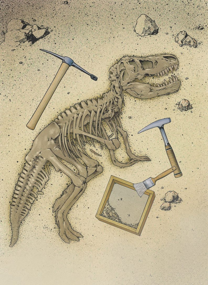 Do the Dino Dig: Jurassic Adventure - Metropol