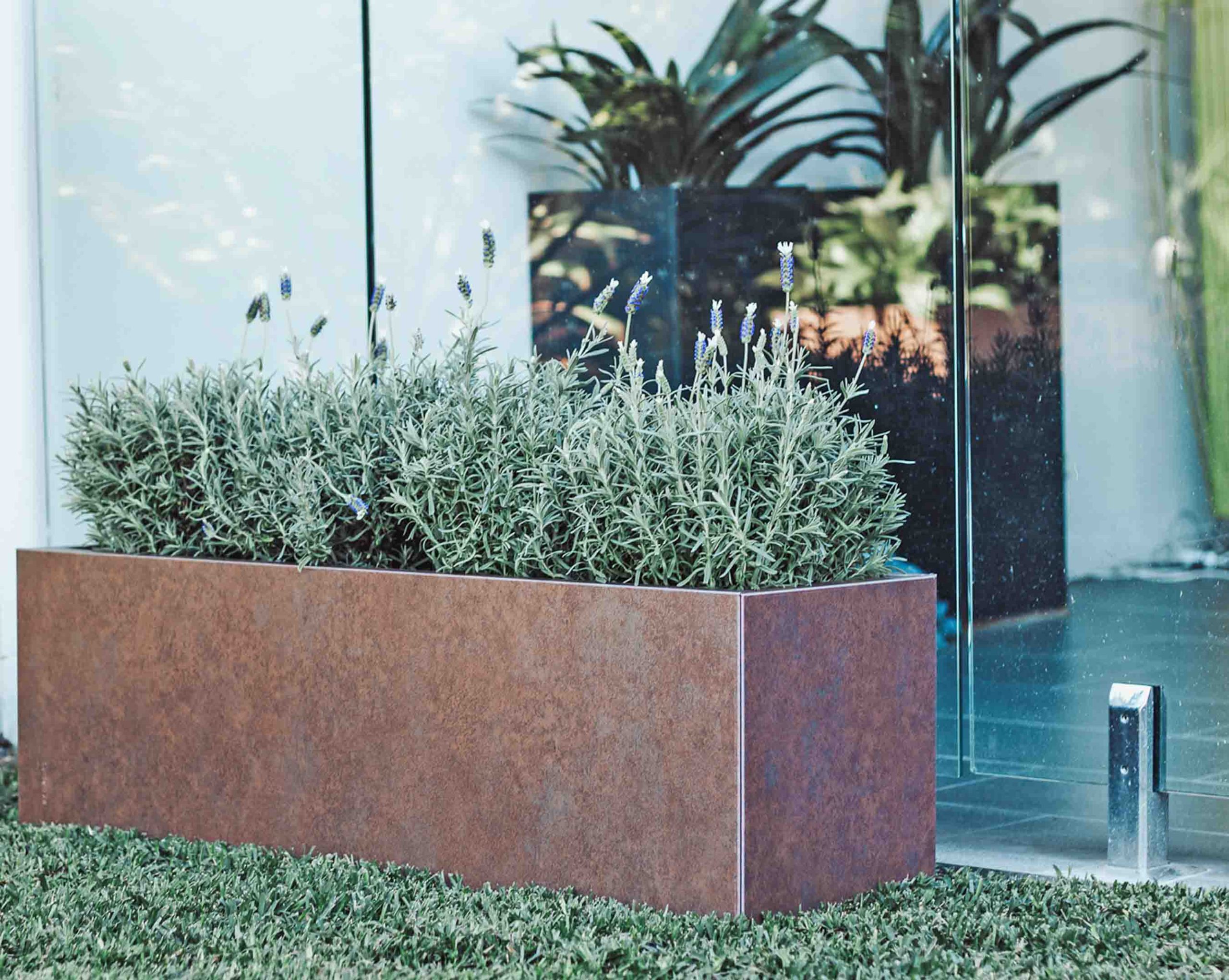 Growing made easy: Intelligro - Metropol