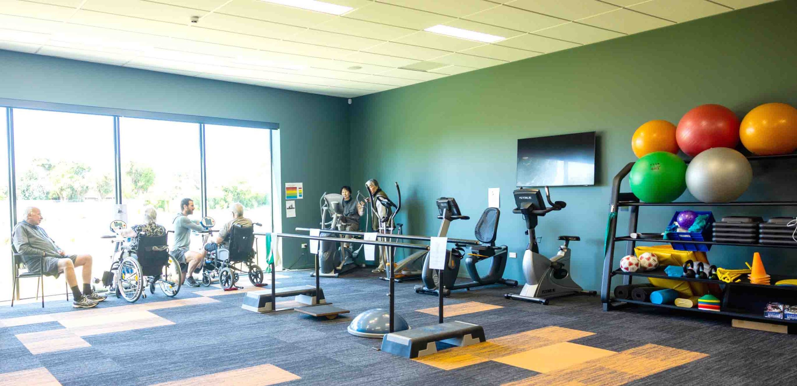 Adopting a wellness regime: The Brain Tree - Metropol