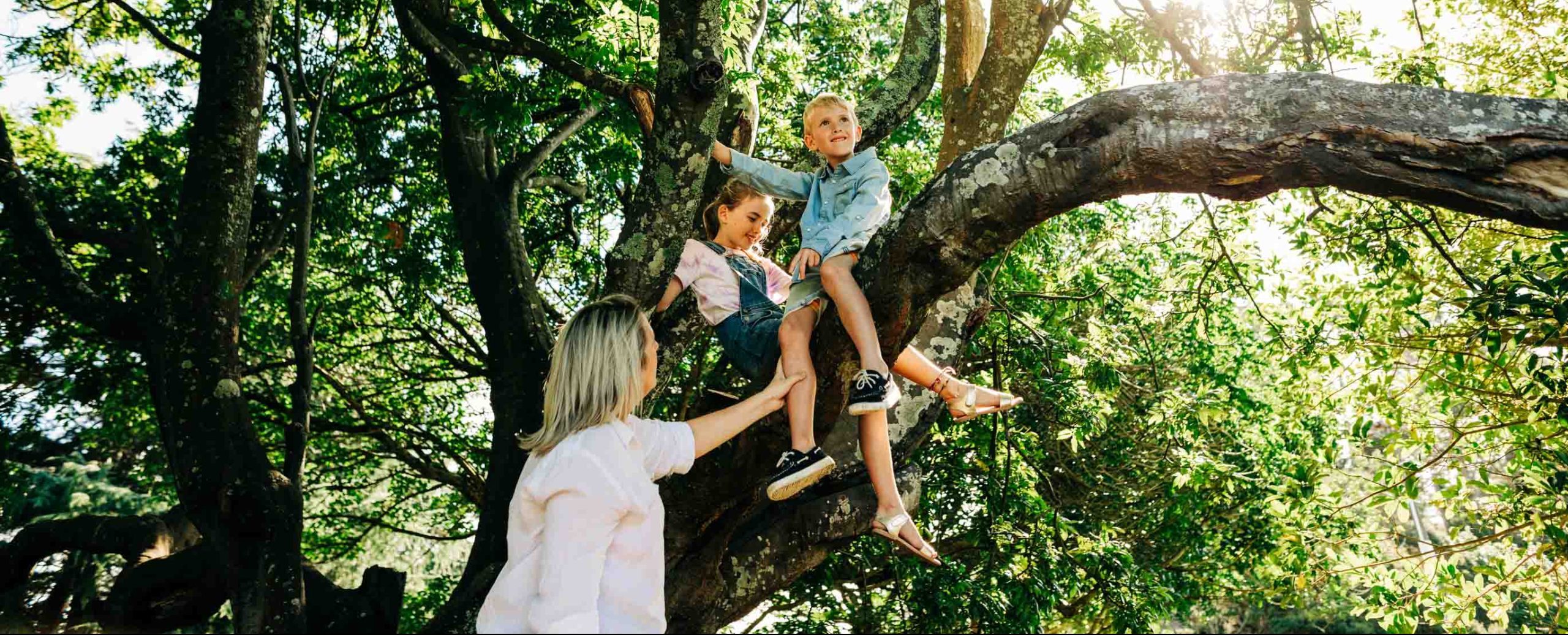 Summer shade: The Tree People - Metropol