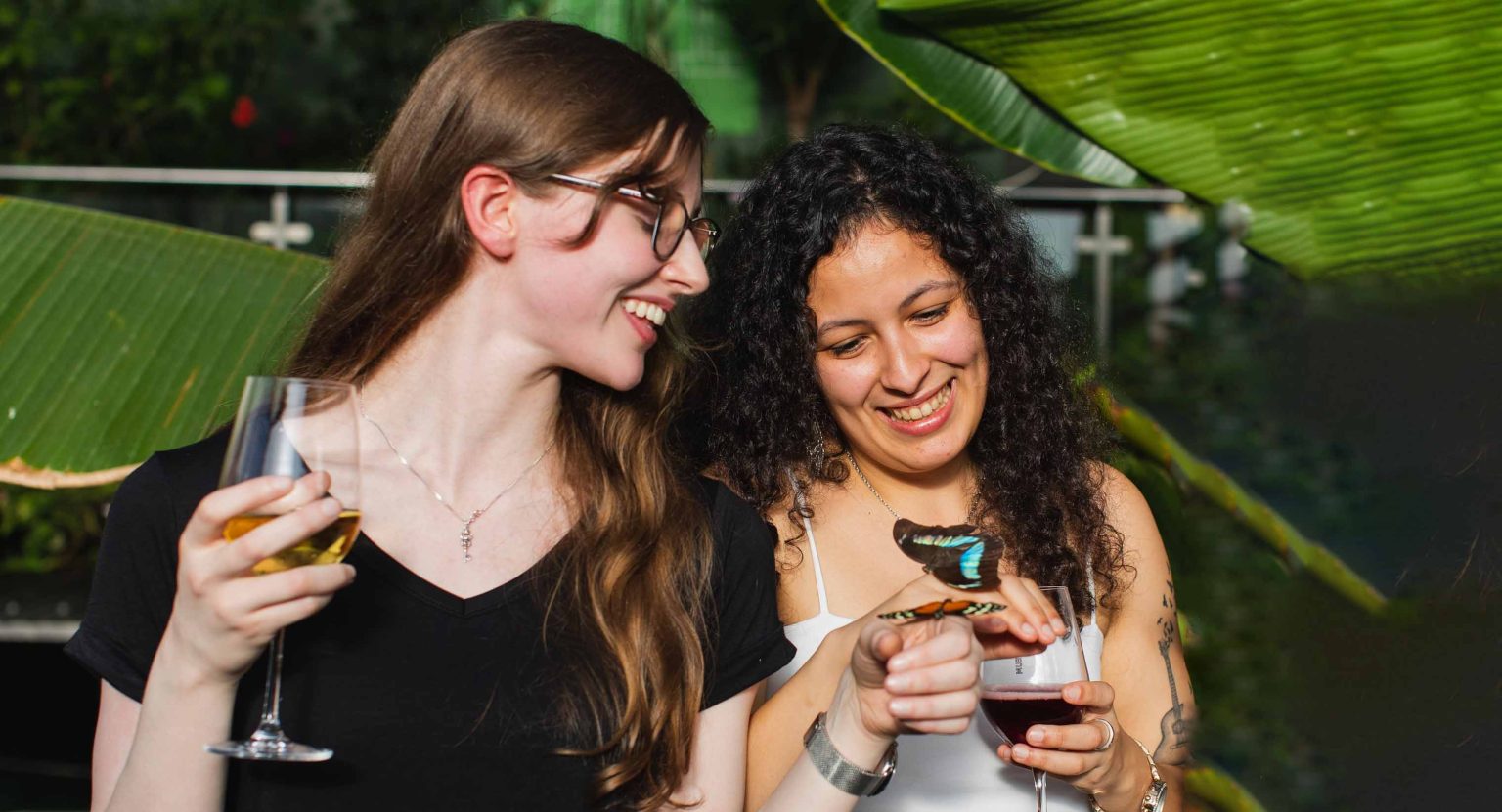 Discover Dunedin - Metropol