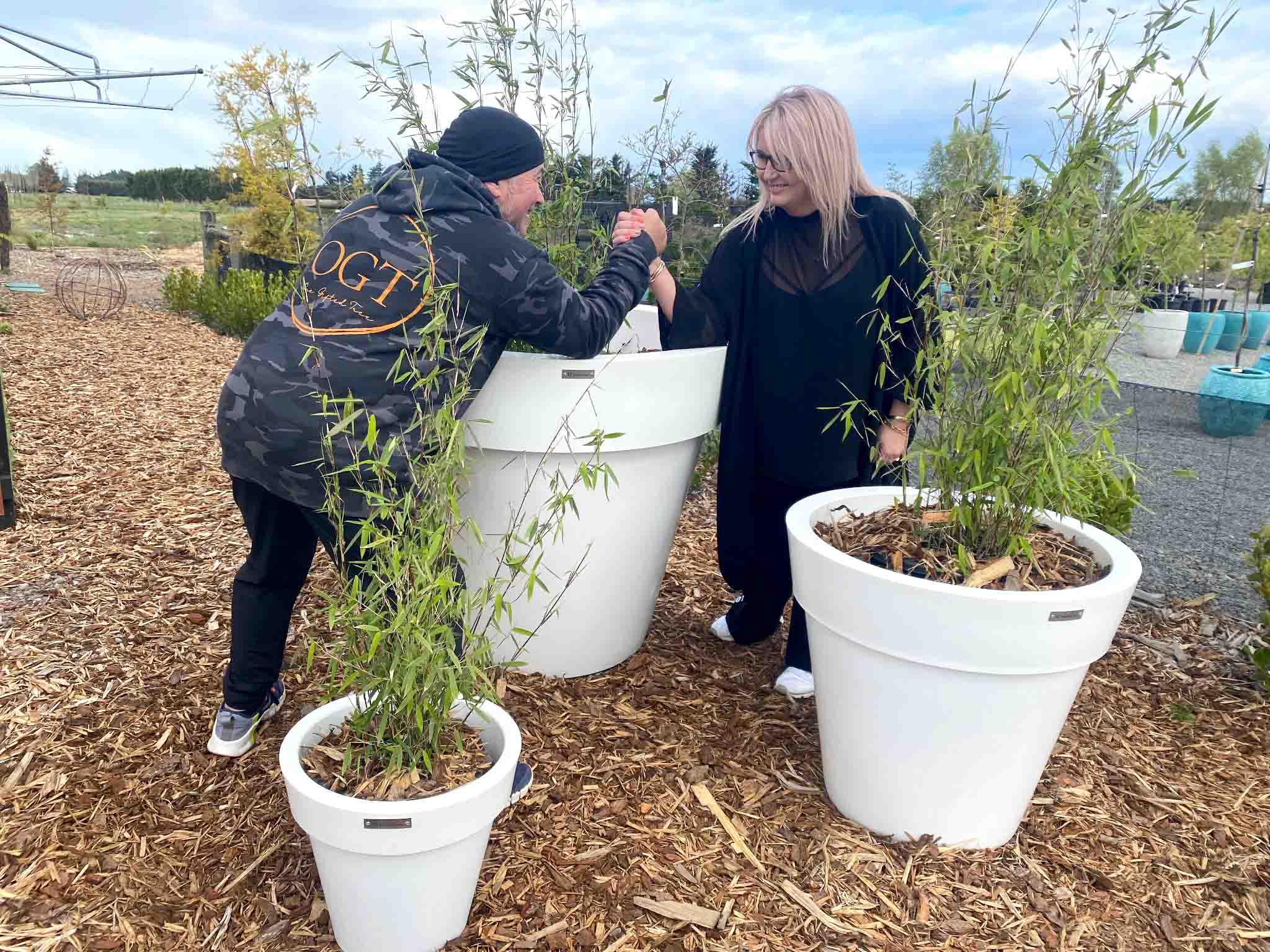 Trees for a special occasion: One Gifted Tree - Metropol