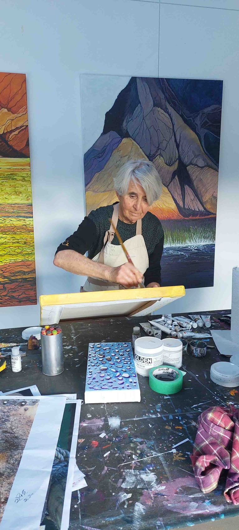 A lady of many talents Christine Hill - Metropol