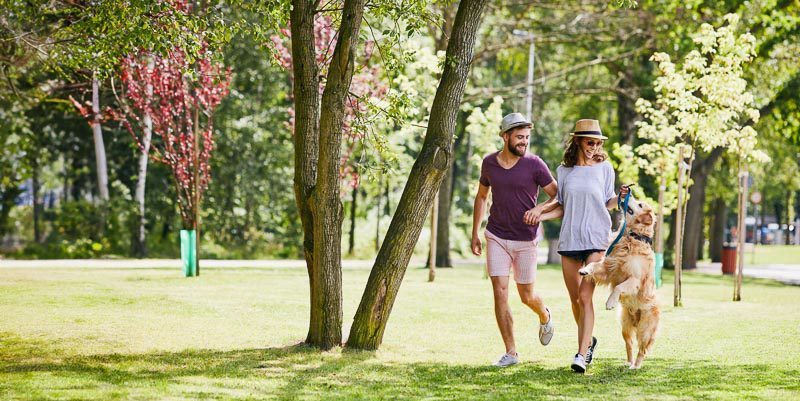 Welcome to Wigram - Metropol