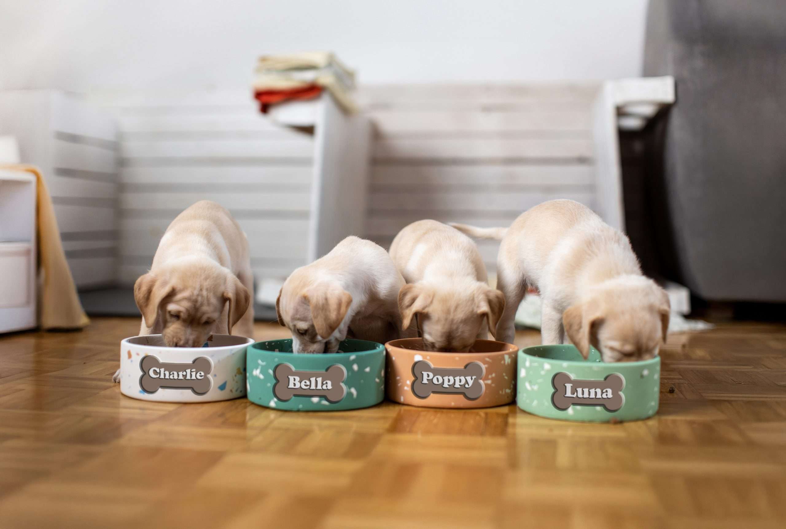 10 most popular pooch names - Metropol