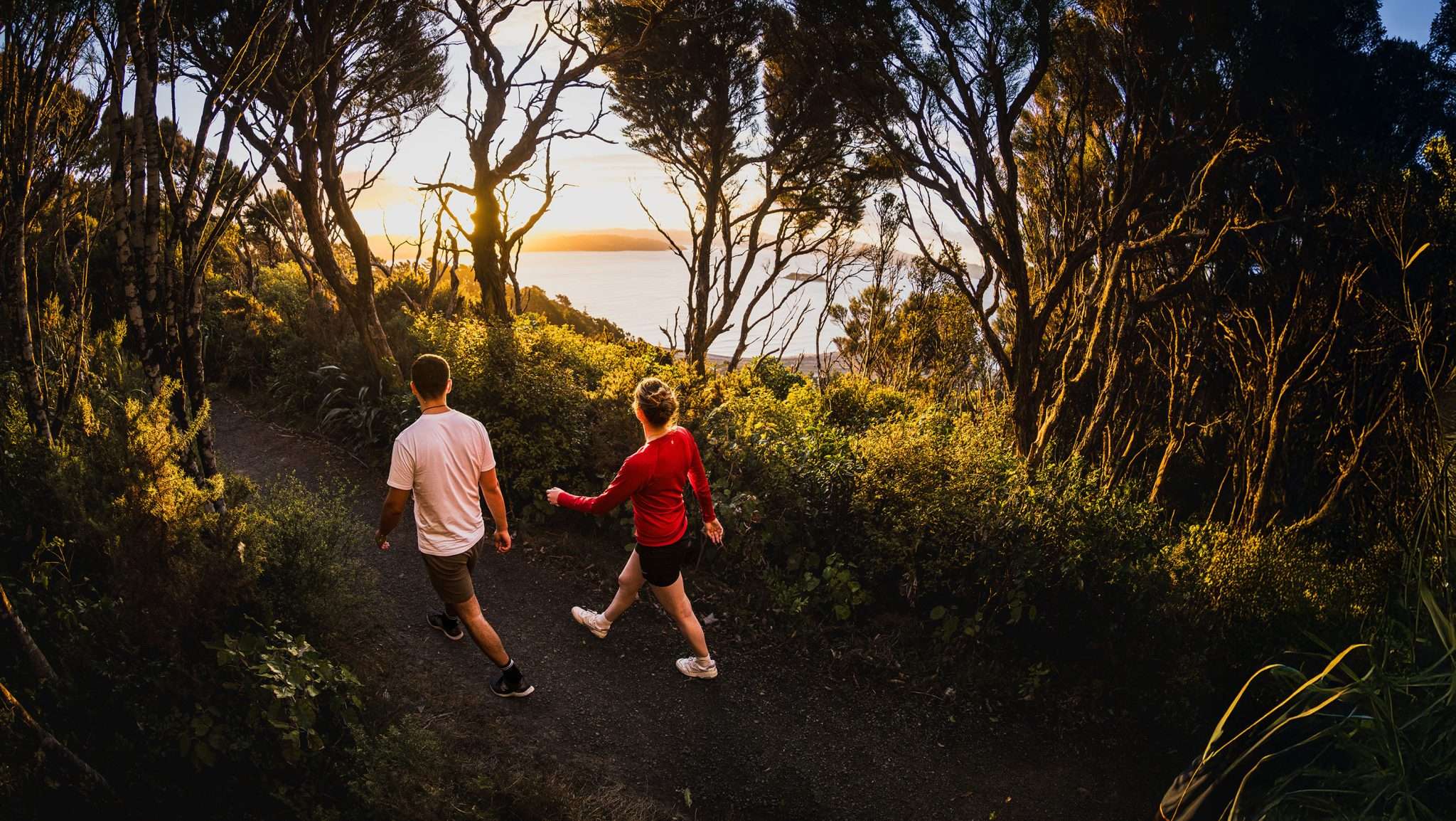 What's on in Wellington - Metropol