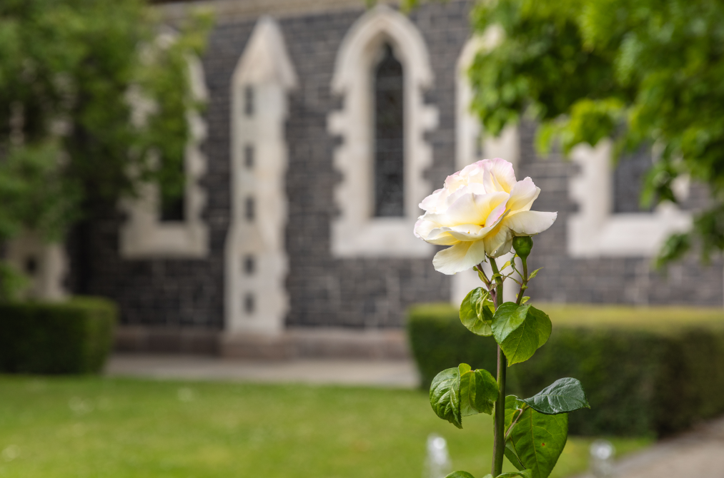 In the heart of the city: Rose Historic Chapel - Metropol