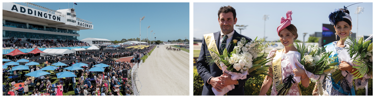 NZ Cup Week in Christchurch: Addington Raceway and Riccarton Park ...