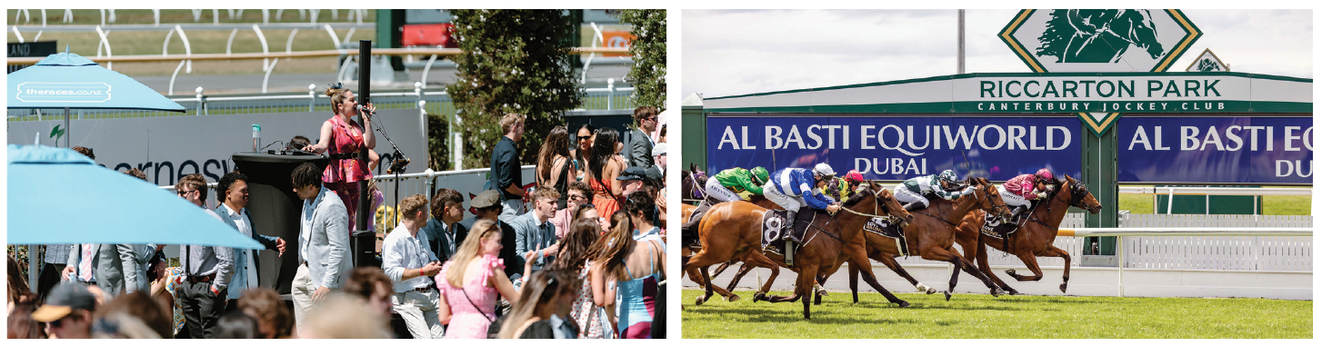 NZ Cup Week in Christchurch: Addington Raceway and Riccarton Park ...